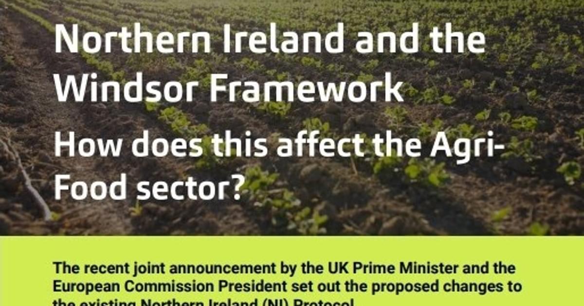 MHA | Northen Ireland and the Windsor Framework MHA | Northen Ireland and the Windsor Framework